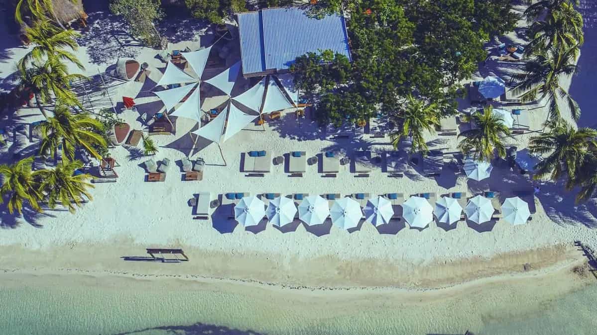 Experience paradise at Amazona Beach Bar & Restaurant | Isla Mujeres