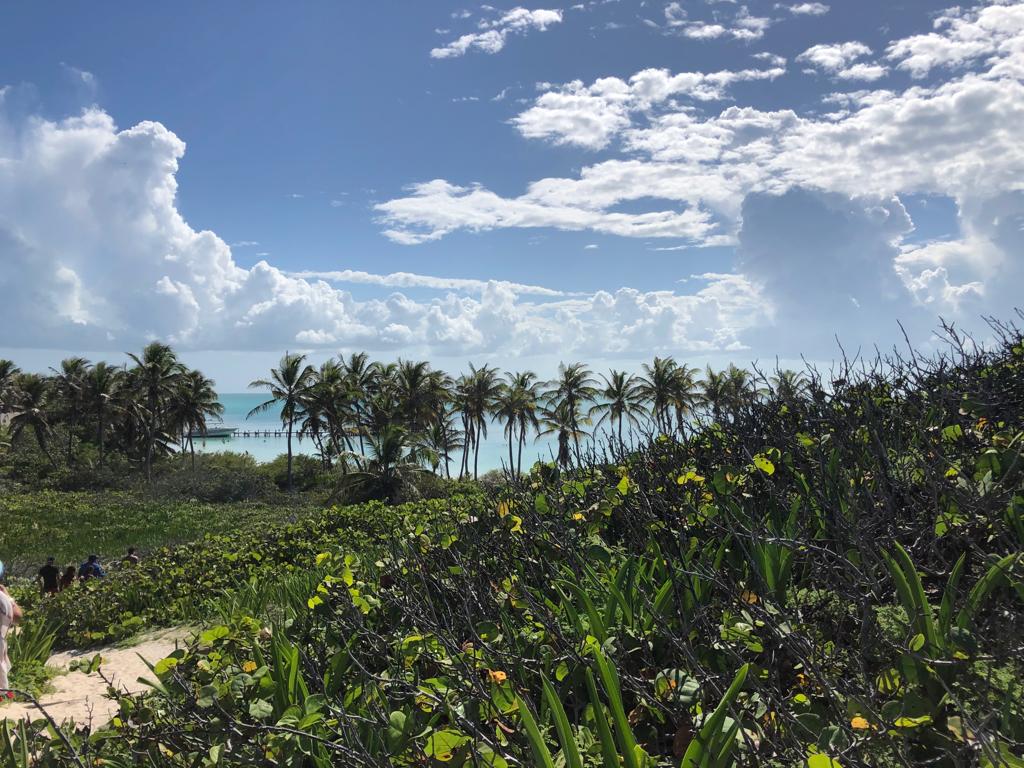 20 Isla Contoy tour photos you will totally love