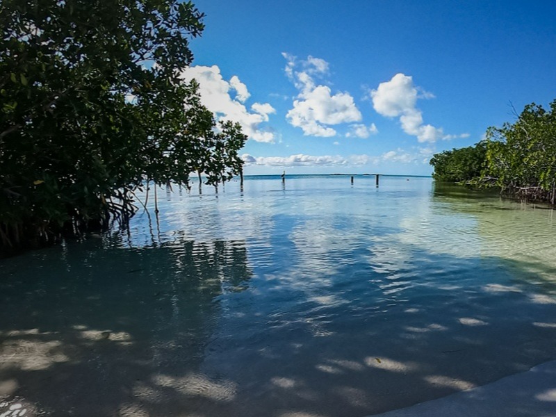 20 Isla Contoy tour photos you will totally love