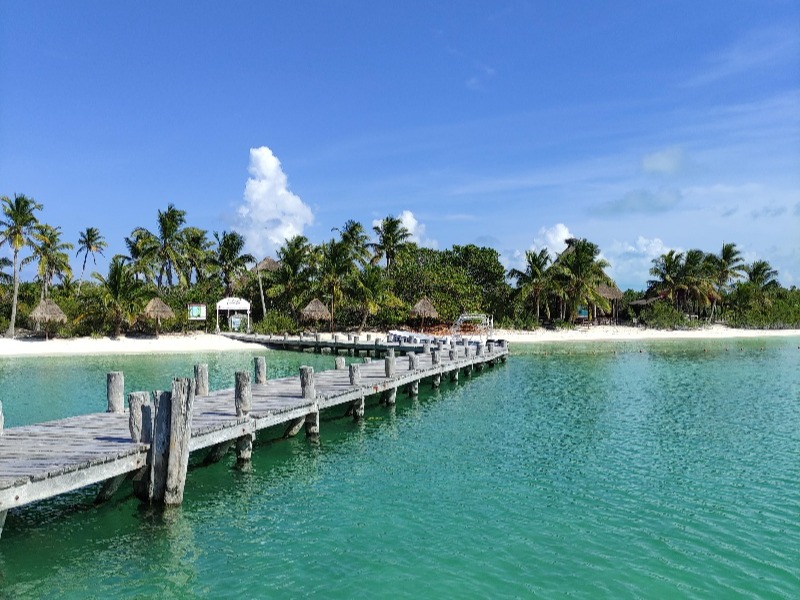 20 Isla Contoy tour photos you will totally love